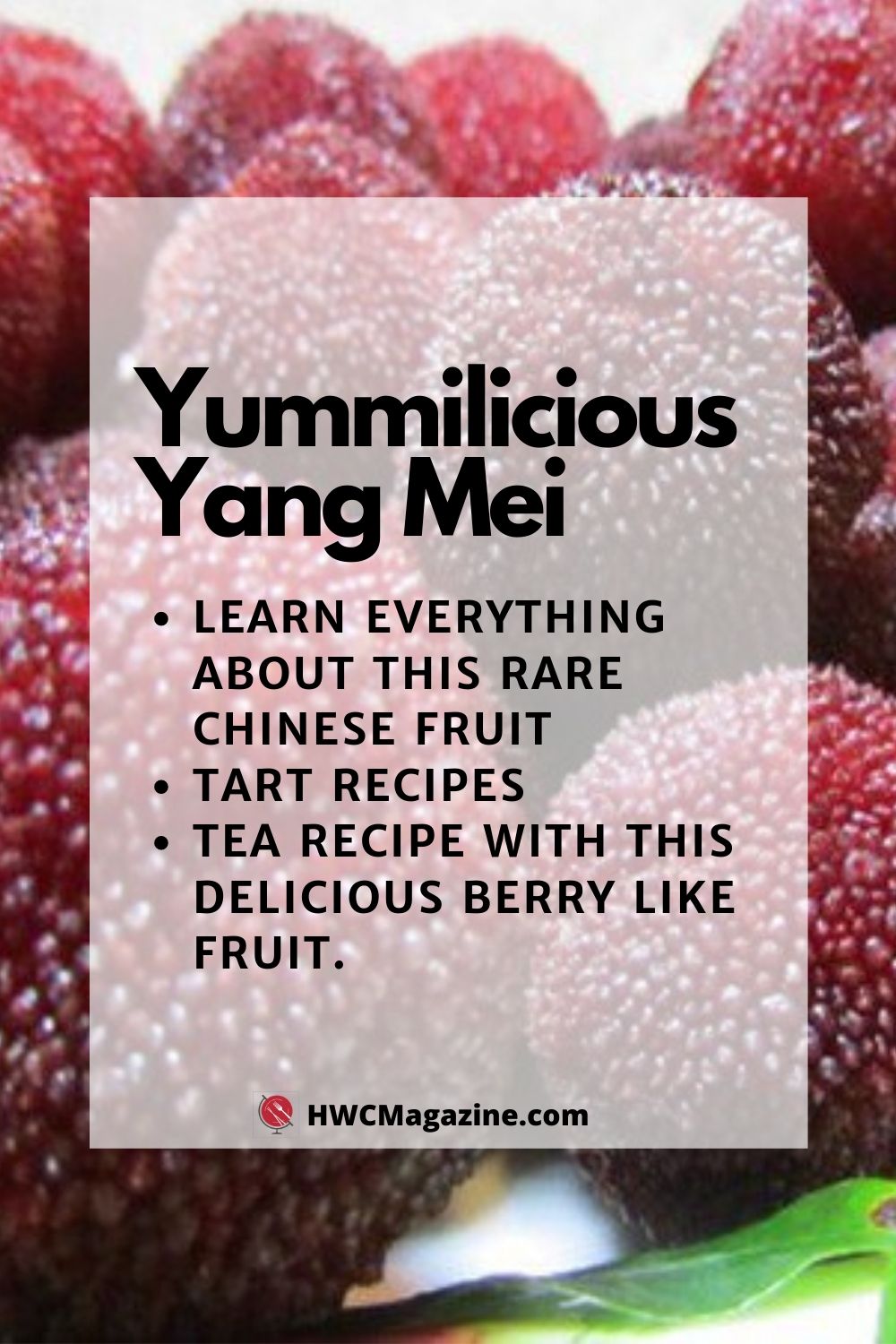Yummilicious Yang Mei - Healthy World Cuisine