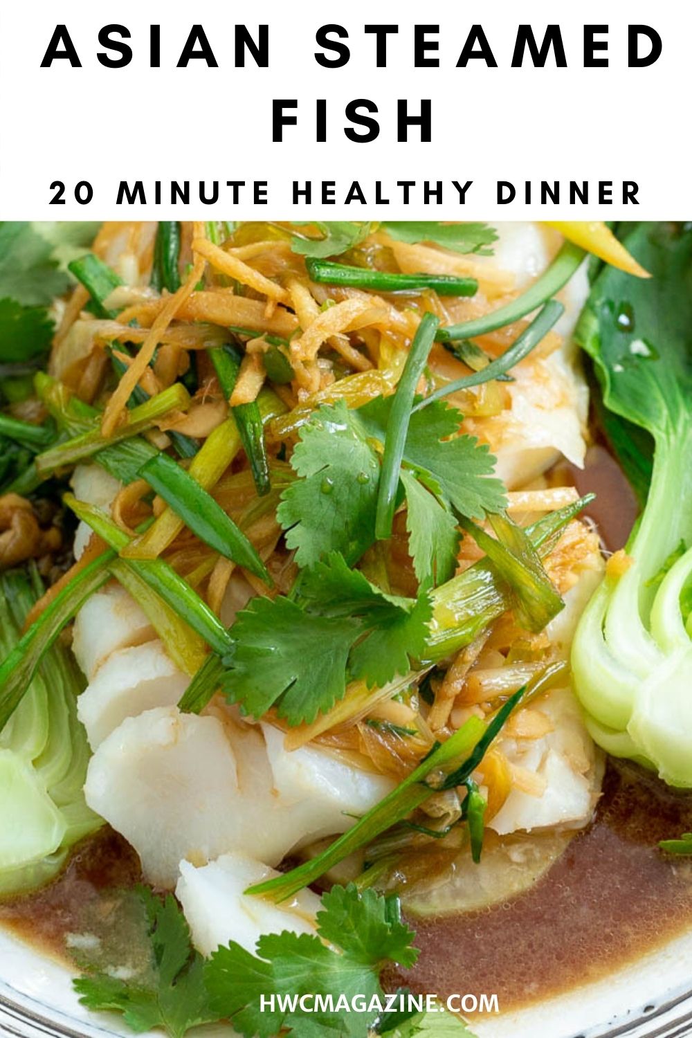 Asian Steamed Fish (Ultimate Guide & Video) - Healthy World Cuisine