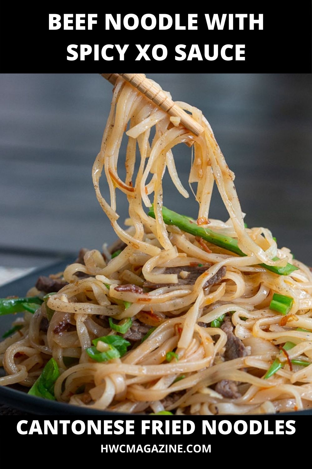 Rice Noodle Xo Sauce Recipe at Douglas Jacobson blog