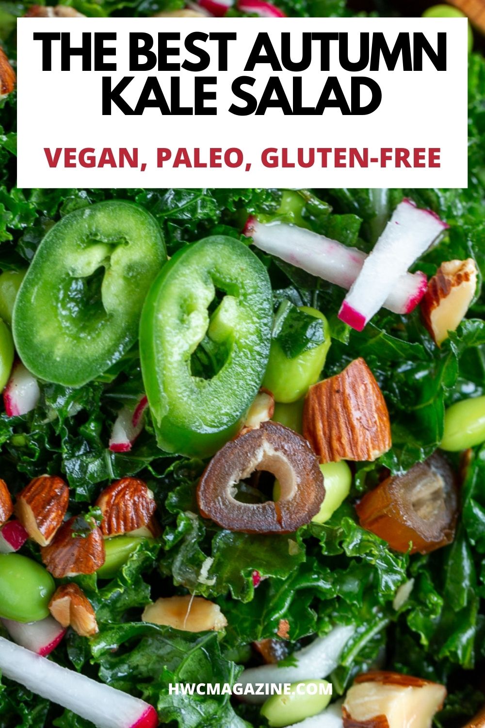 Autumn Kale Salad - Healthy World Cuisine