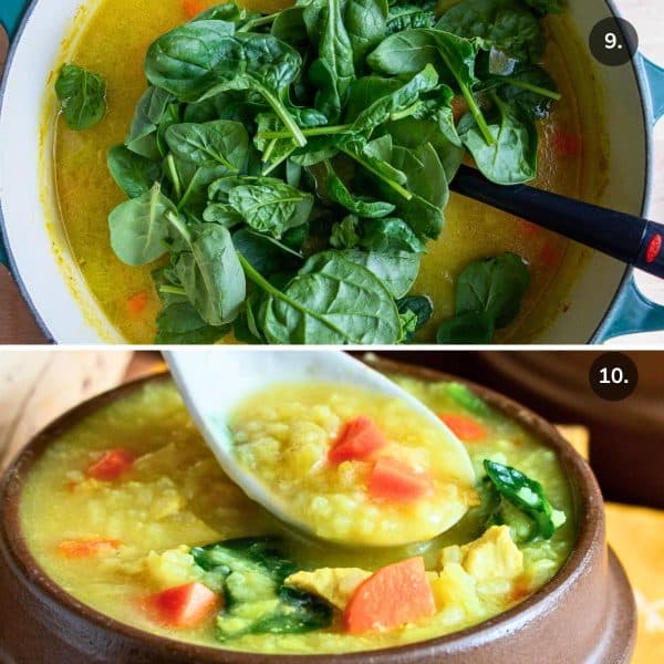 Immune Boosting Chicken and Rice Soup - Healthy World Cuisine