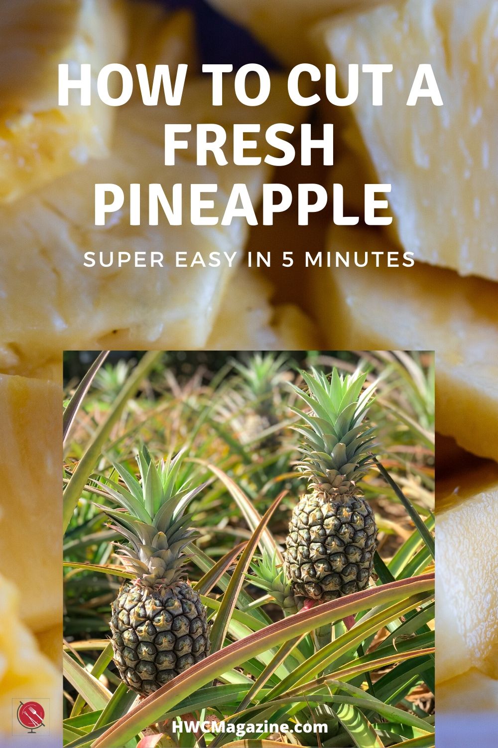 How to Cut a Fresh Pineapple - Healthy World Cuisine