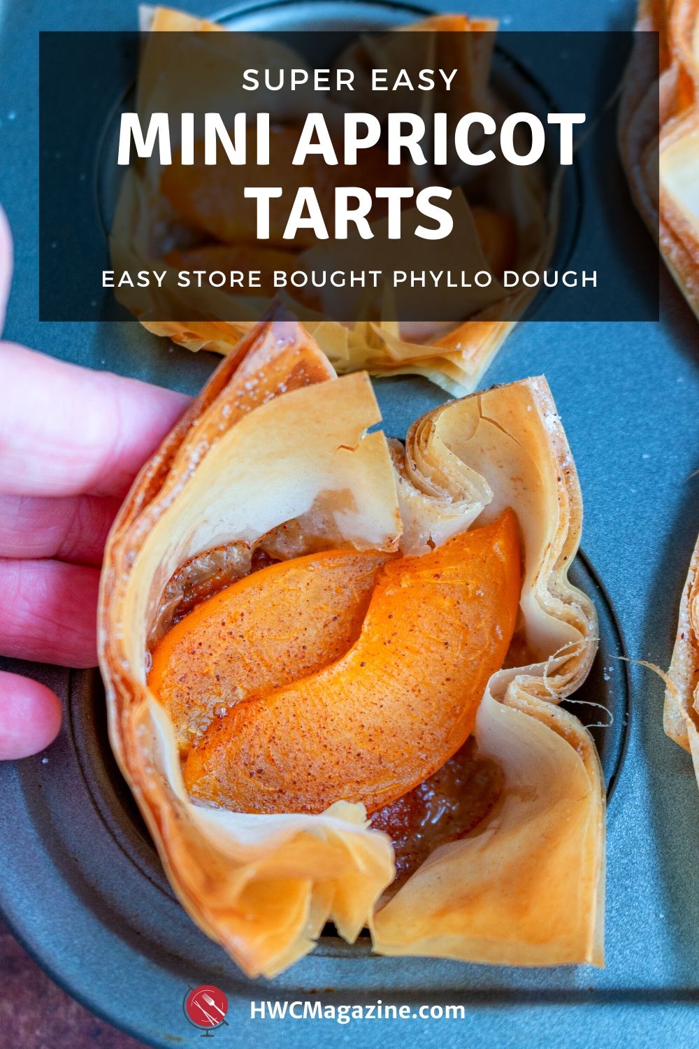 Mini Apricot Tarts - Healthy World Cuisine